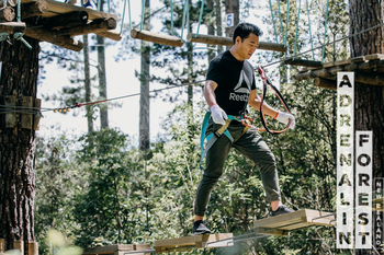 Adrenalin Forest - Appointedd
